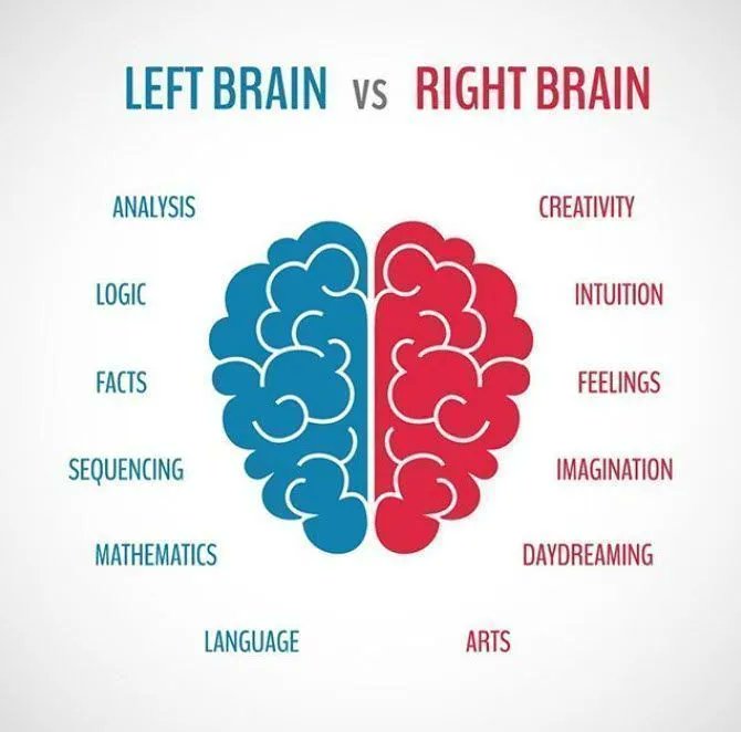 Right Brain Vs Left Brain Test Optical Illusion