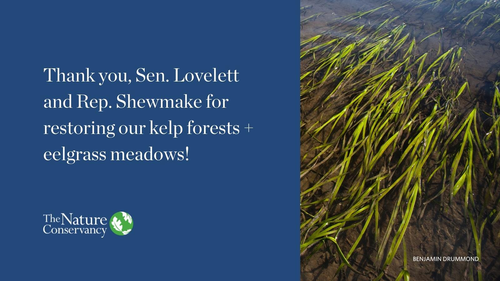 The Nature Conservancy in Washington on Twitter: The Nature Conservancy in Washington on Twitter: