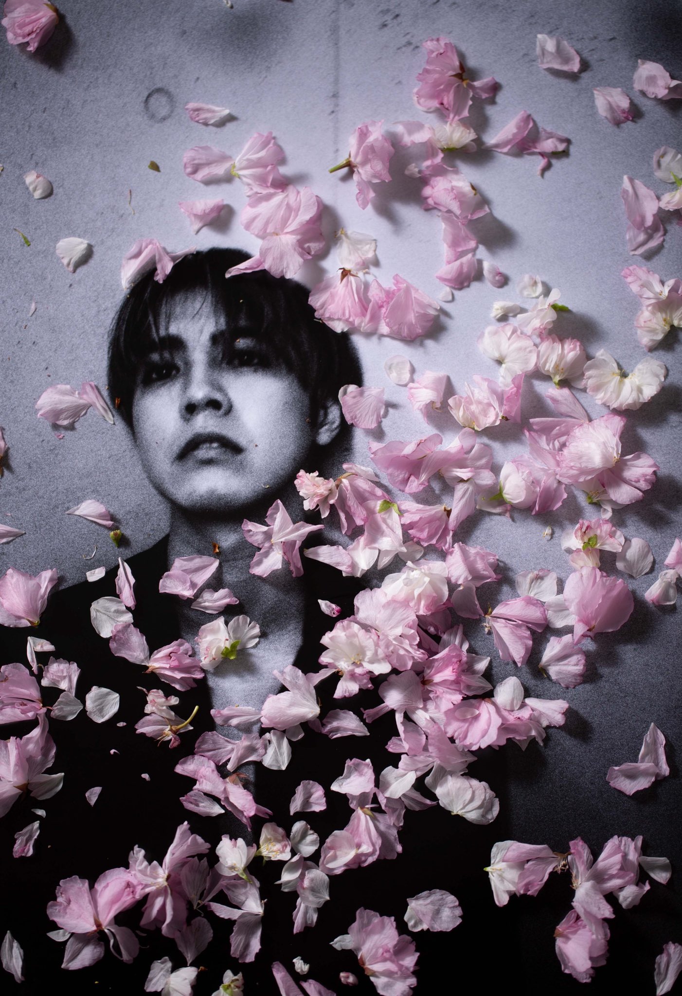 CINEMA FIGHTERS project公式 on Twitter: "#斎藤工 さん×#片寄涼太 さん 素敵なコラボレーションを ありがとうございました 【#サクライロ】 楽曲に込め ...