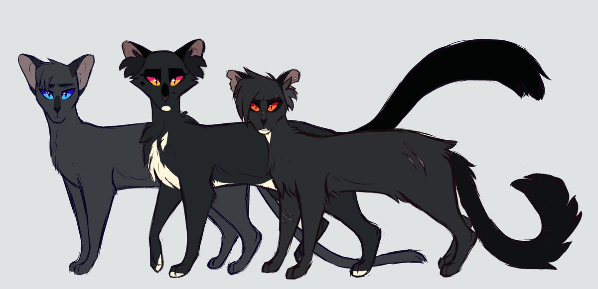 Warrior Cats Crowfeather And Nightcloud