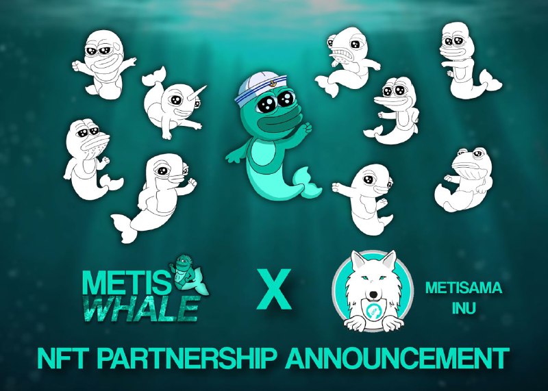 Talked about Metis Eco growing and and was asked to deliver my thoughts ...