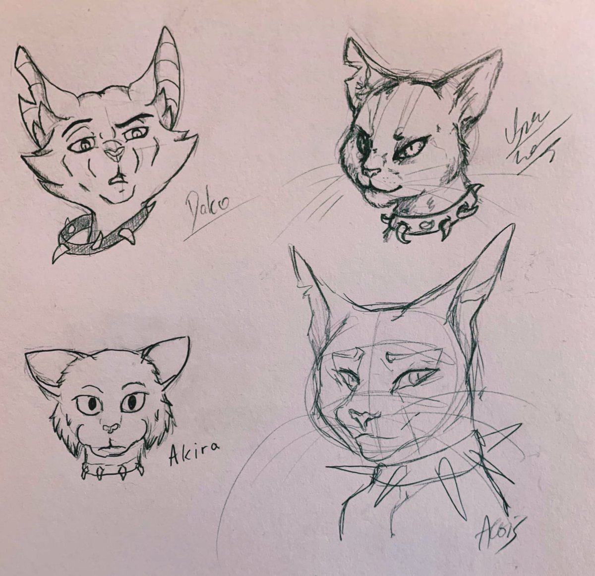 How To Draw Warrior Cats Fighting