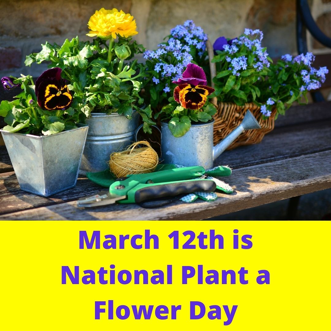 National Plant A Flower Day