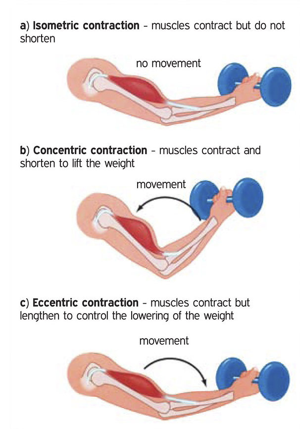 Eccentric Contraction