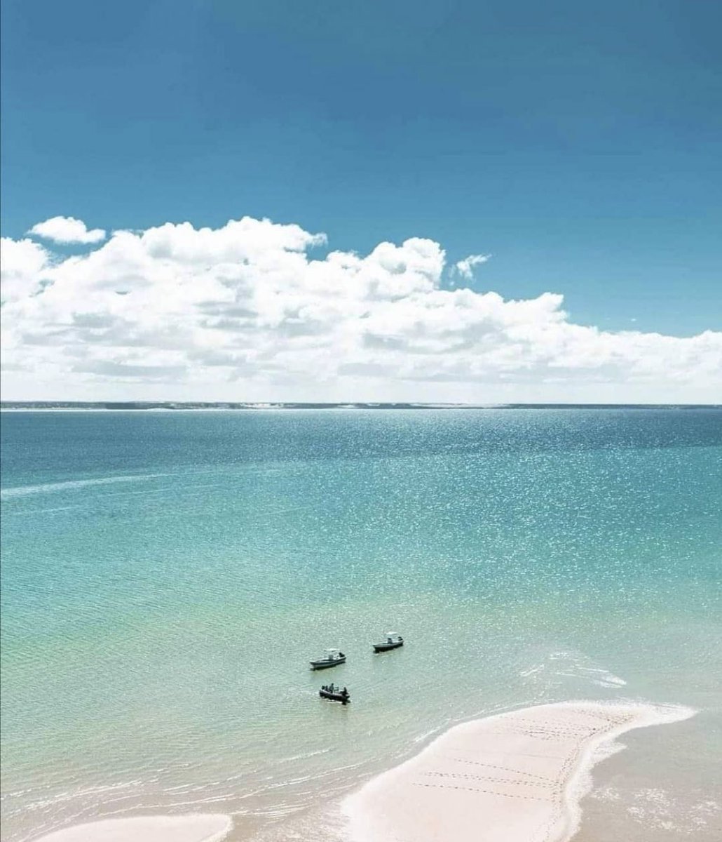 F’Chkeel (@F_Chkeel) | Twitter