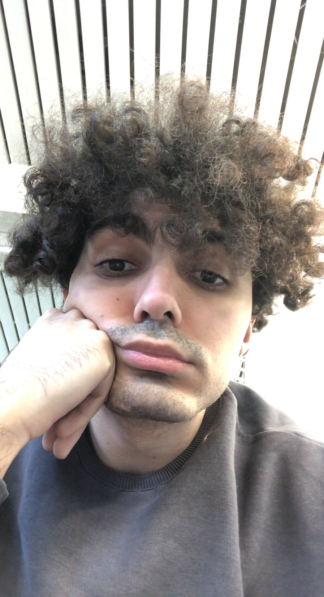 Sideshow Bob Makeover Sideshow Bob Has Gained Some Weight