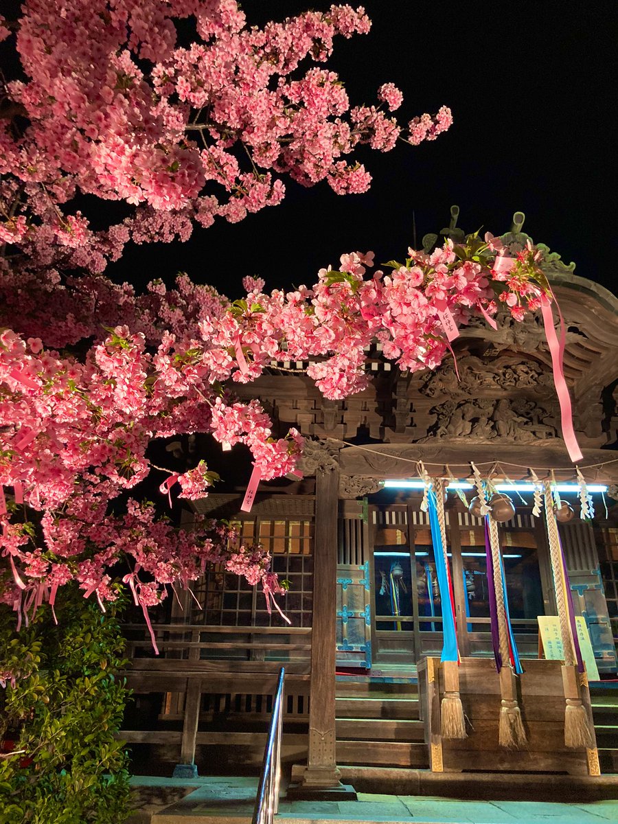 Emimaru(@Emi_maru) - Twilog