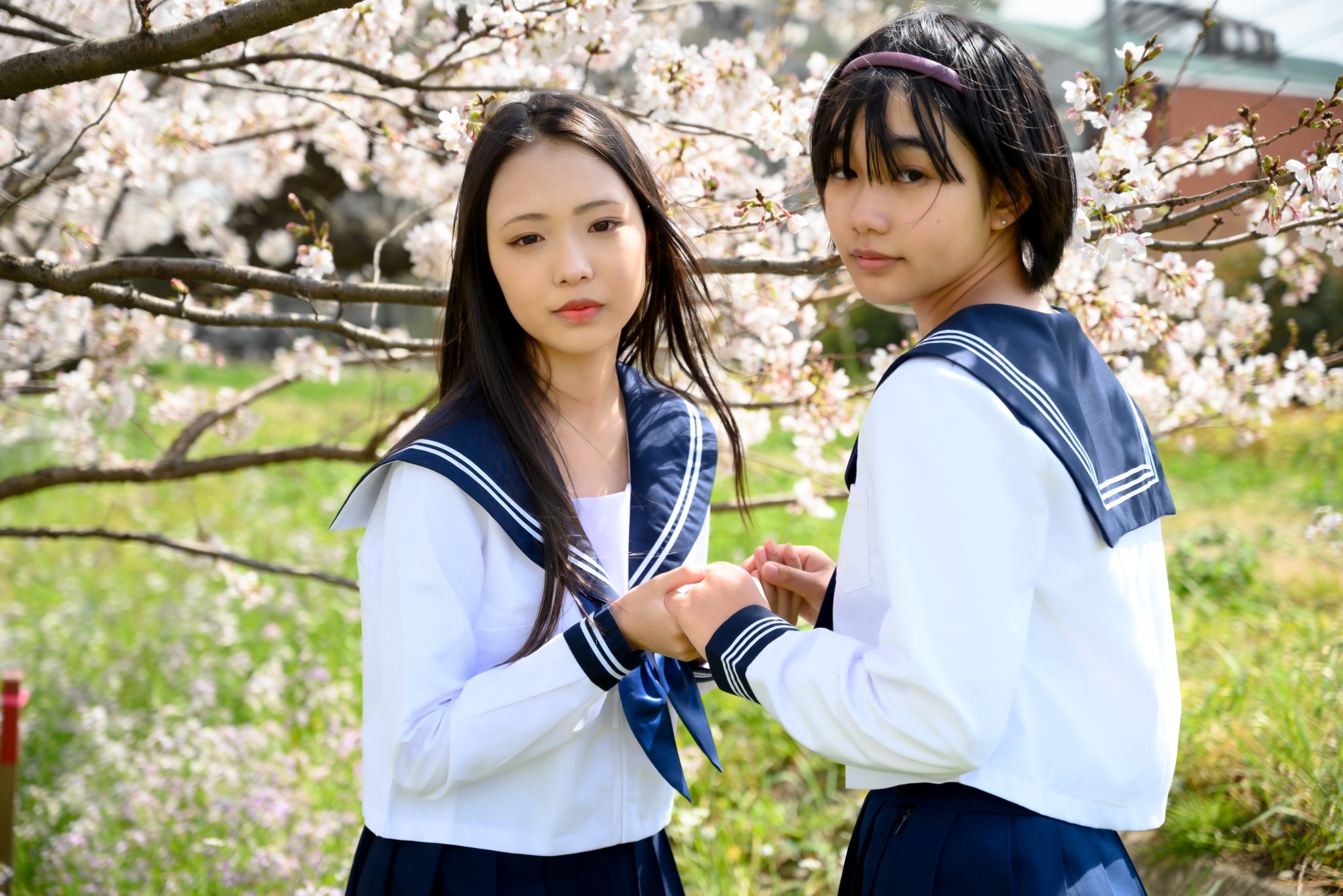 tubosanⅢ on Twitter: "月曜日に桜の木の下で noaちゃん @noa_purinn 小杉ゆんちゃん @kosugiyun 二人とも可愛かった😊 https://t.co ...