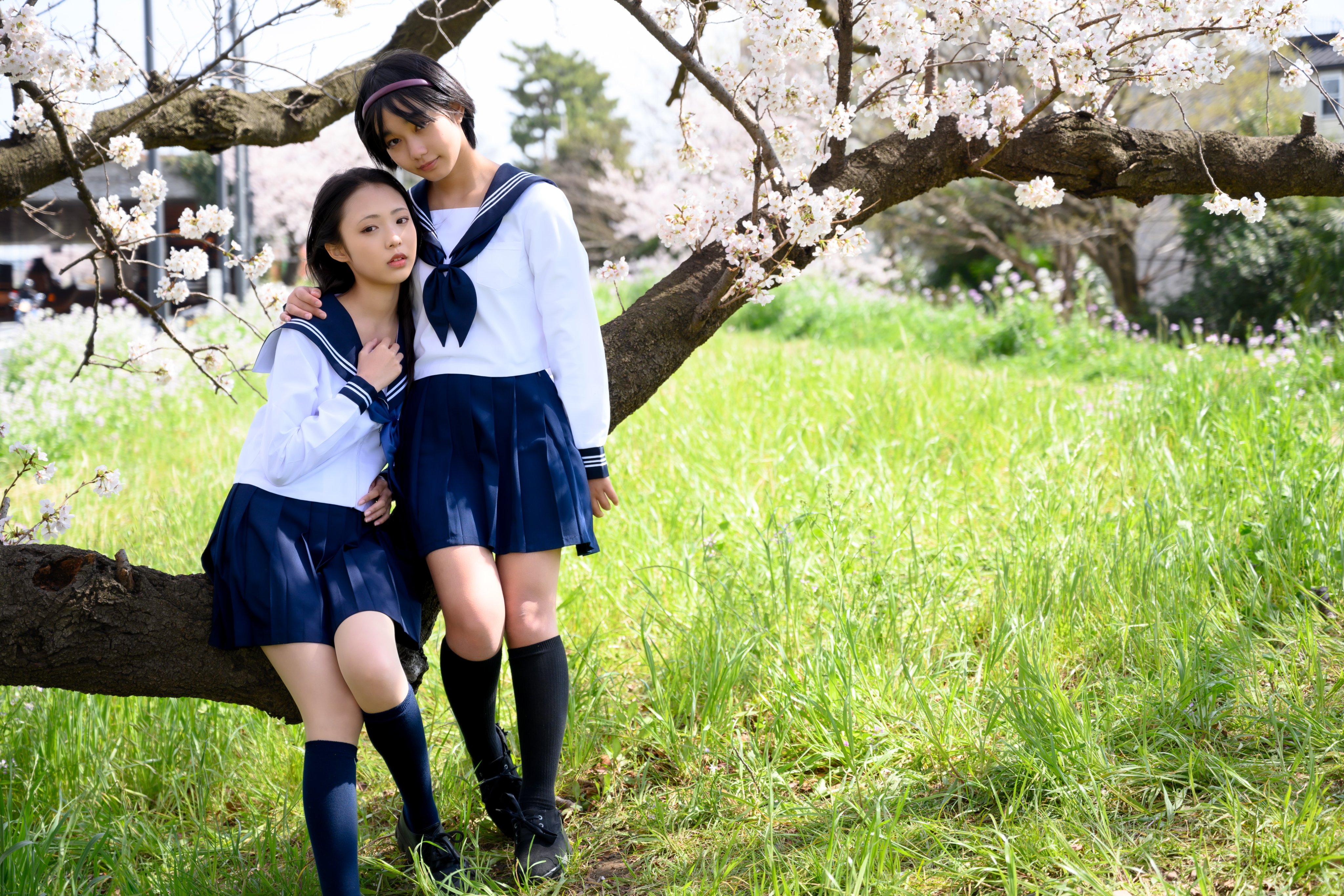 tubosanⅢ on Twitter: "月曜日に桜の木の下で noaちゃん @noa_purinn 小杉ゆんちゃん @kosugiyun 二人とも可愛かった😊 https://t.co ...