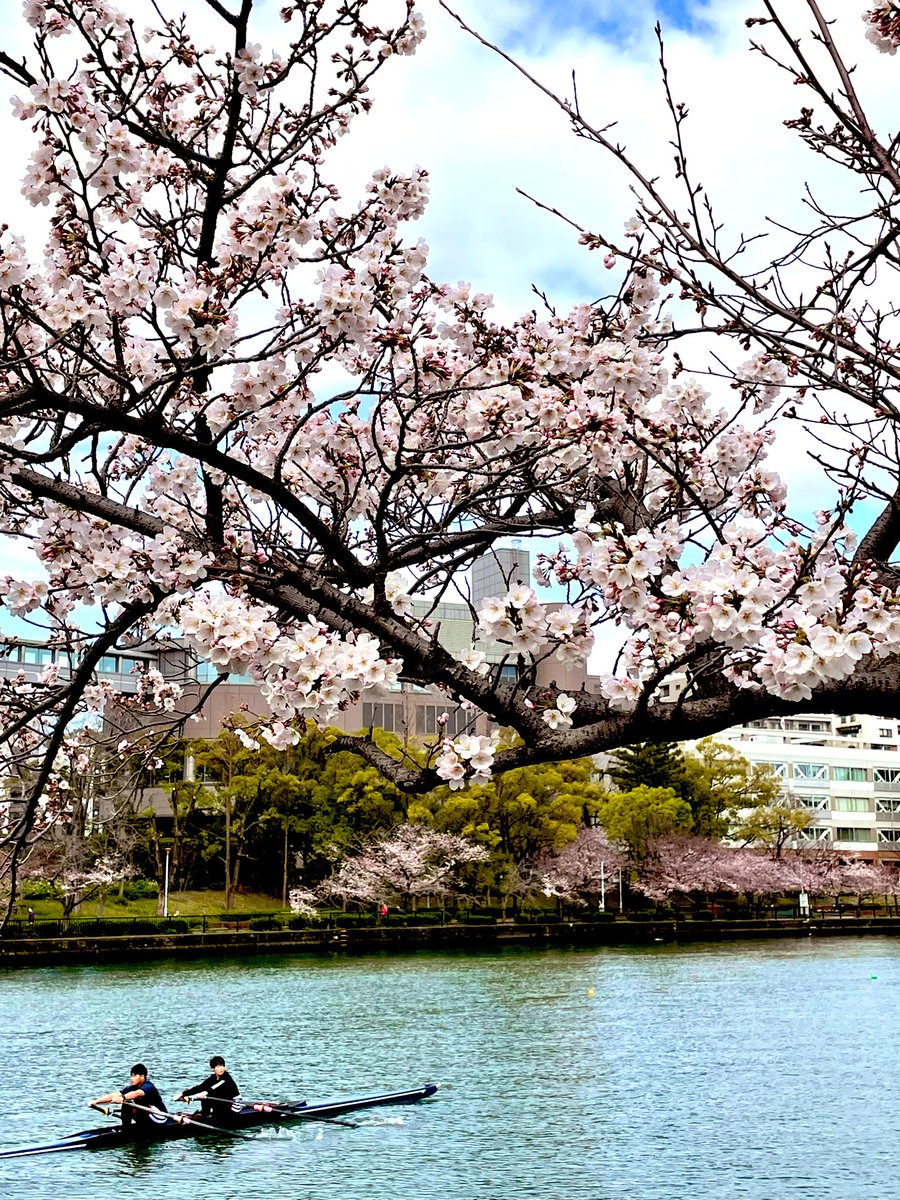 SURNIA(@SURNIA_JPN) - Twilog (ツイログ)