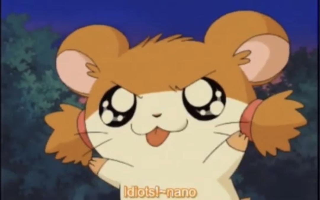 Hamtaro Annoyed