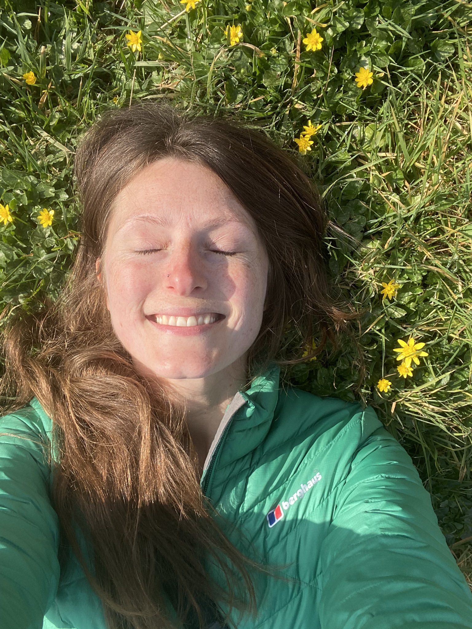 Lucy Lapwing on Twitter: "Tis the little CELANDINE 😍 What. A. Flower 👌🏻It was worth a man seeing ...