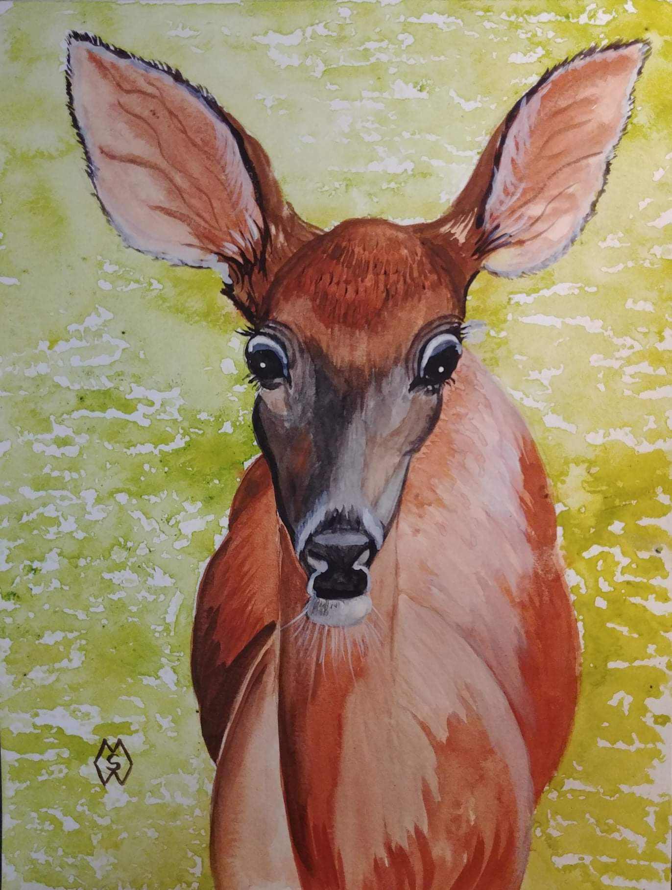 Doe Watercolor