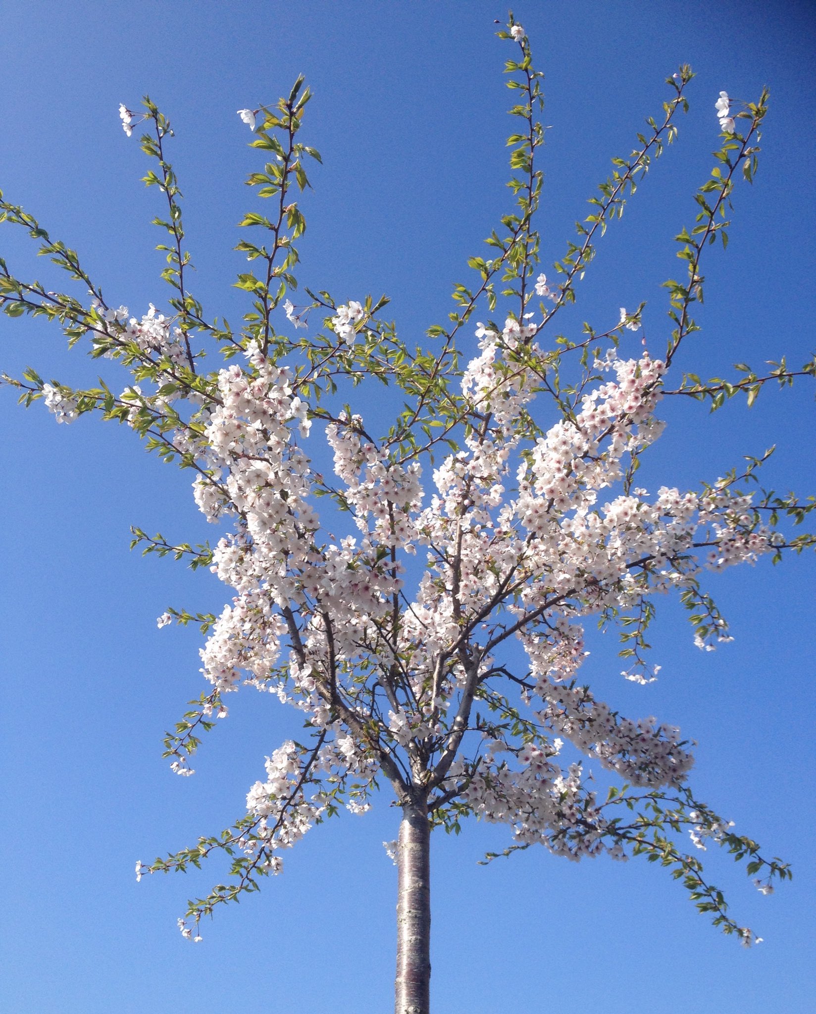 Eamon Carr on Twitter: "It feels reassuring somehow that Mother Nature waved at me today 😀 # ...