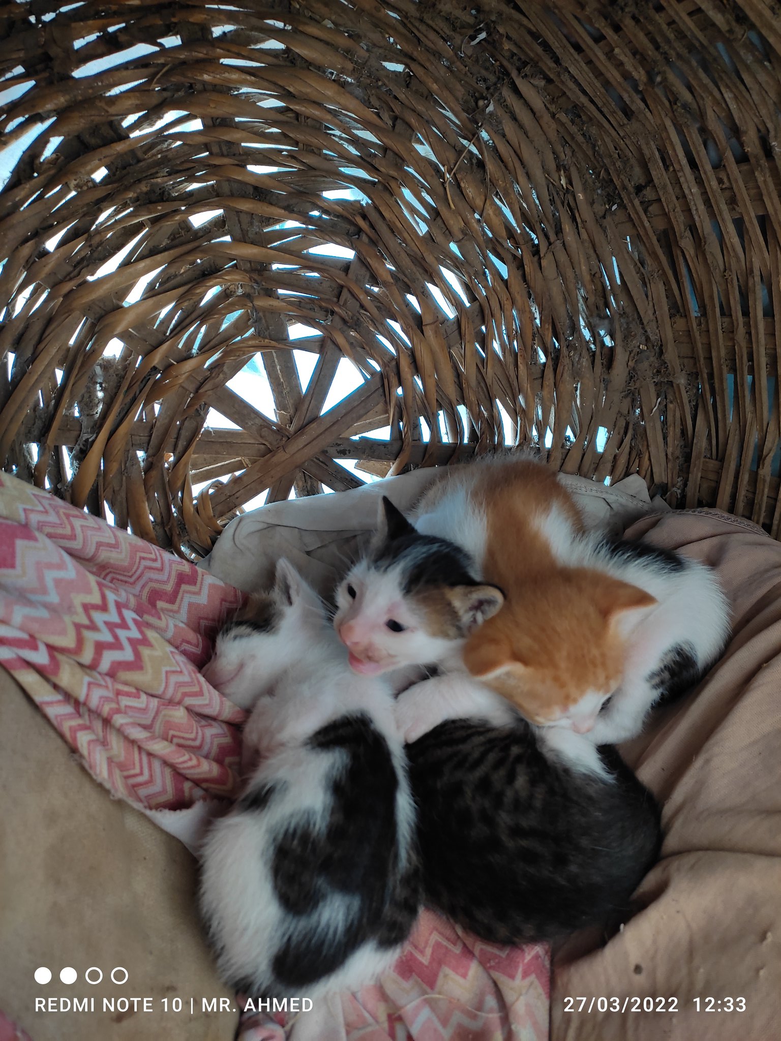 Mr.Ahmad Eldeeb (@AhmadEl62153245) / Twitter