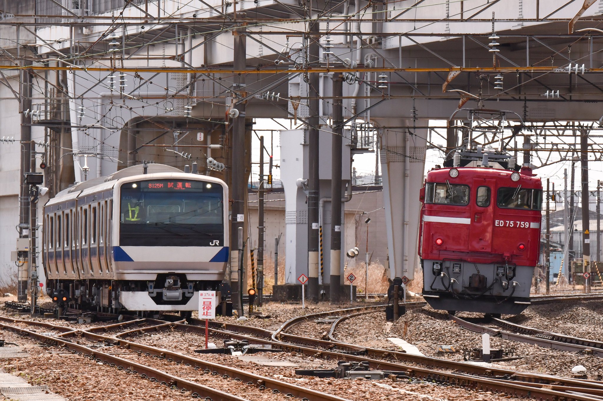 鈴🎌︎︎︎︎︎ on Twitter: "単9590レ ED75 758[仙] 単機回送 2022/03/28 E531との並びで😇 https://t.co/0iwCOrnA2K ...