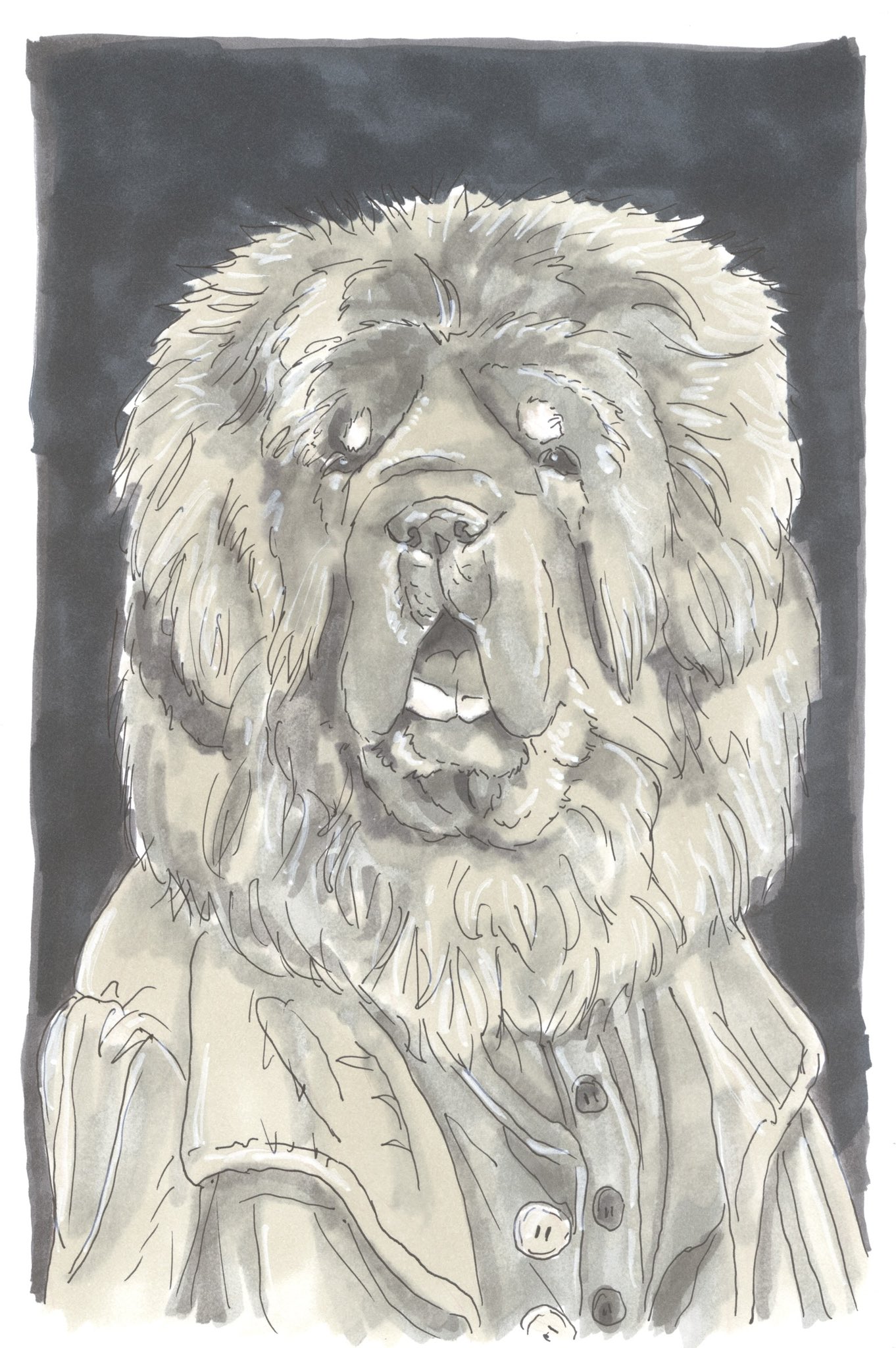 Harry Potter Fluffy Drawing