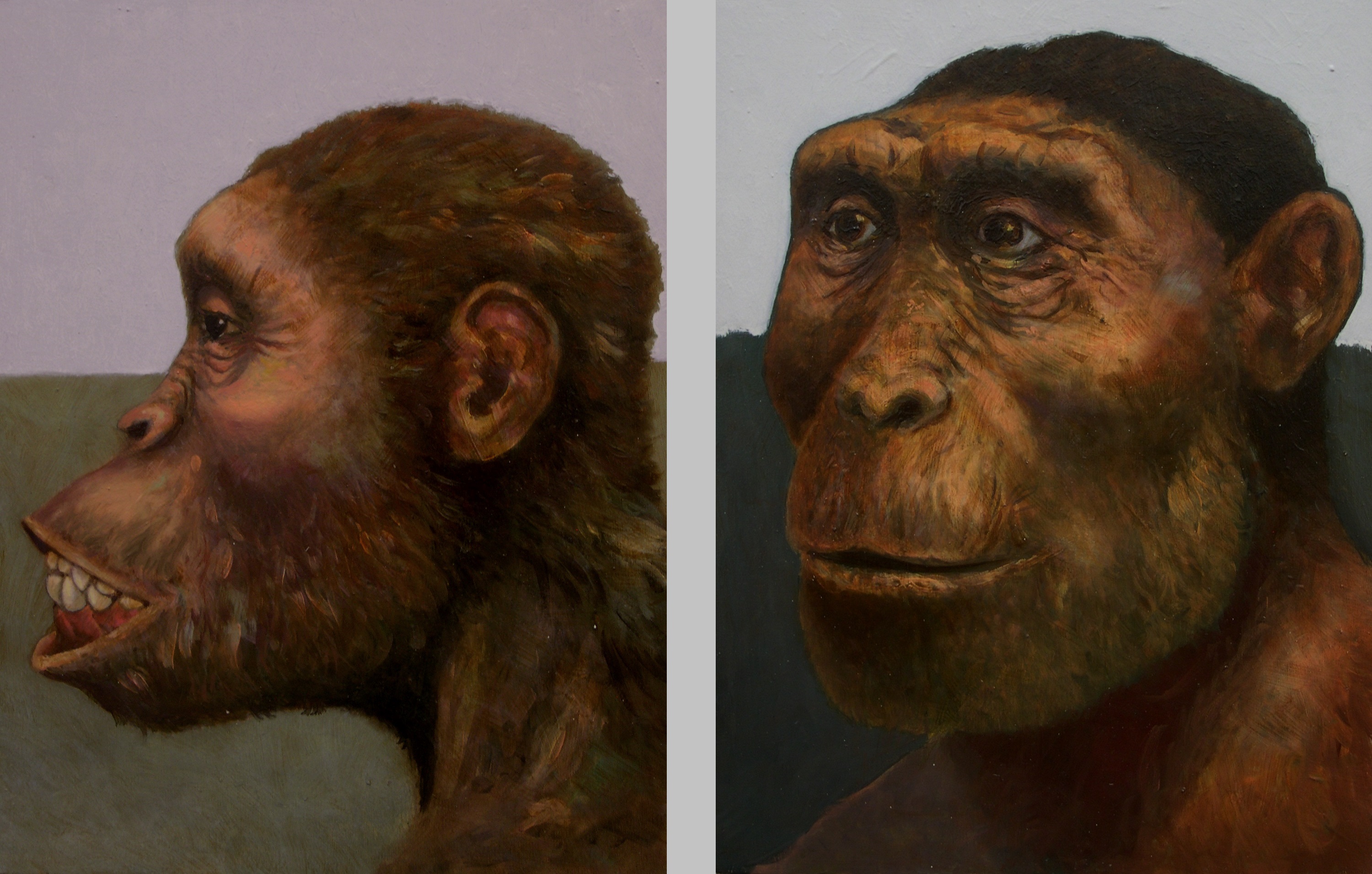 Australopithecus Afarensis, Artwork Ancient Humans, Human, 42% OFF Australopithecus Afarensis, Artwork Ancient Humans, Human, 42% OFF