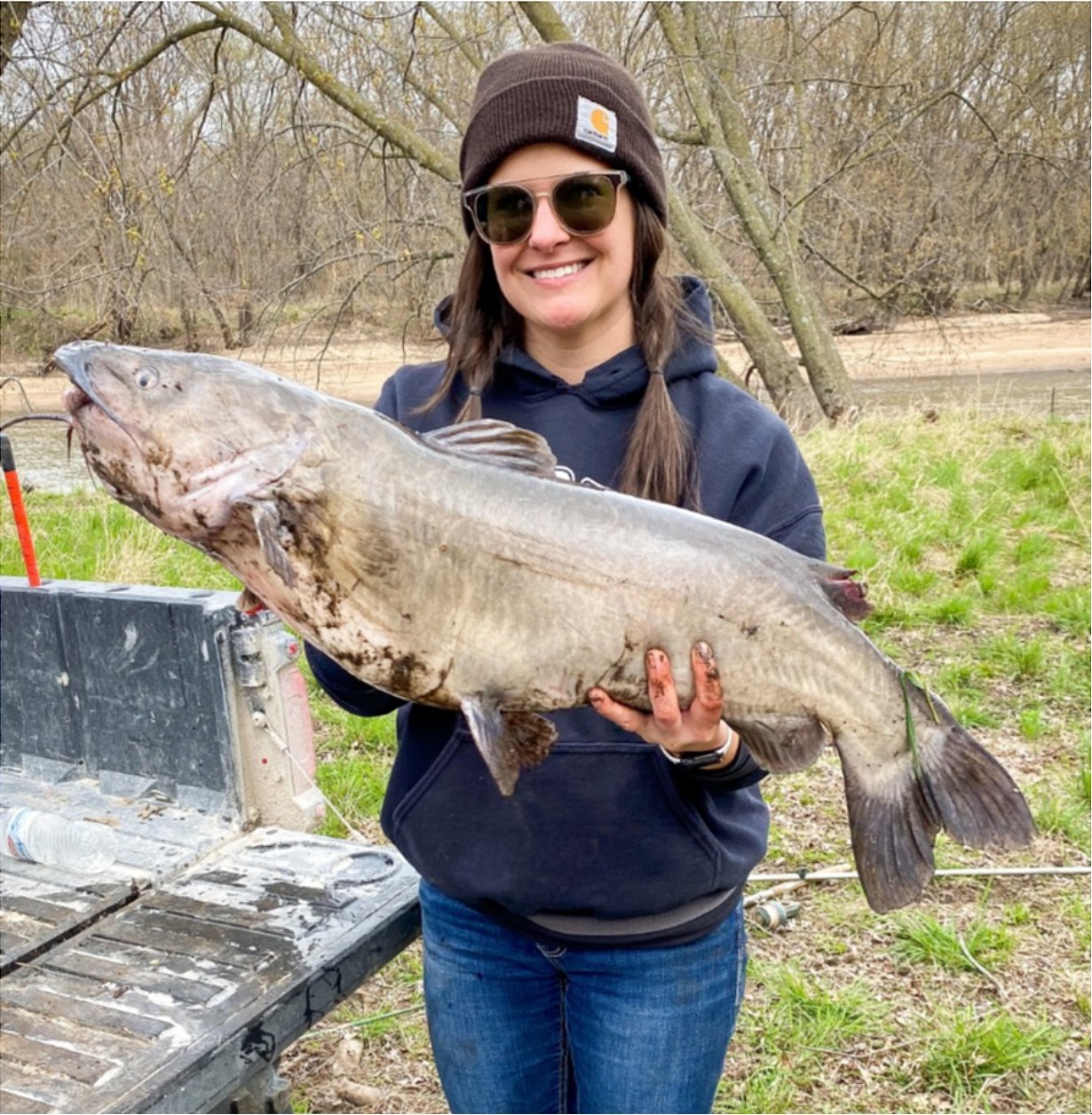 Large Channel Catfish