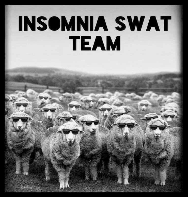 Counting Sheep Funny Quotes