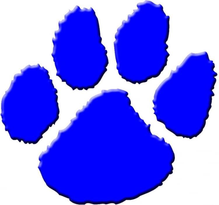 Blue Bear Paw