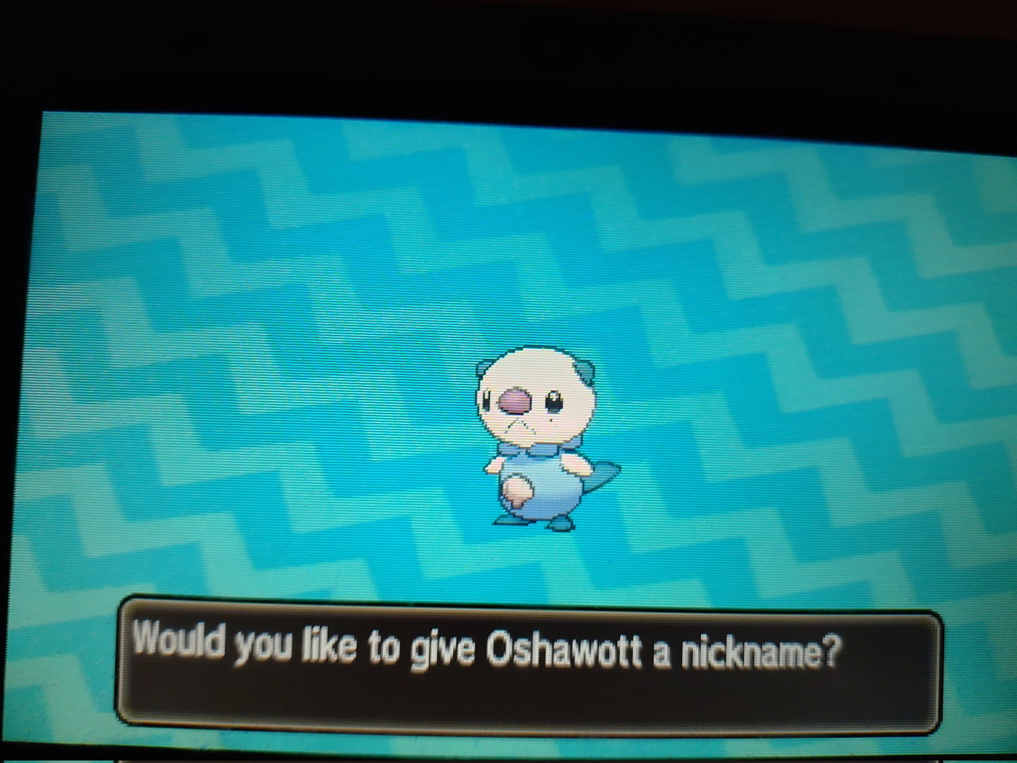 Shiny Oshawott