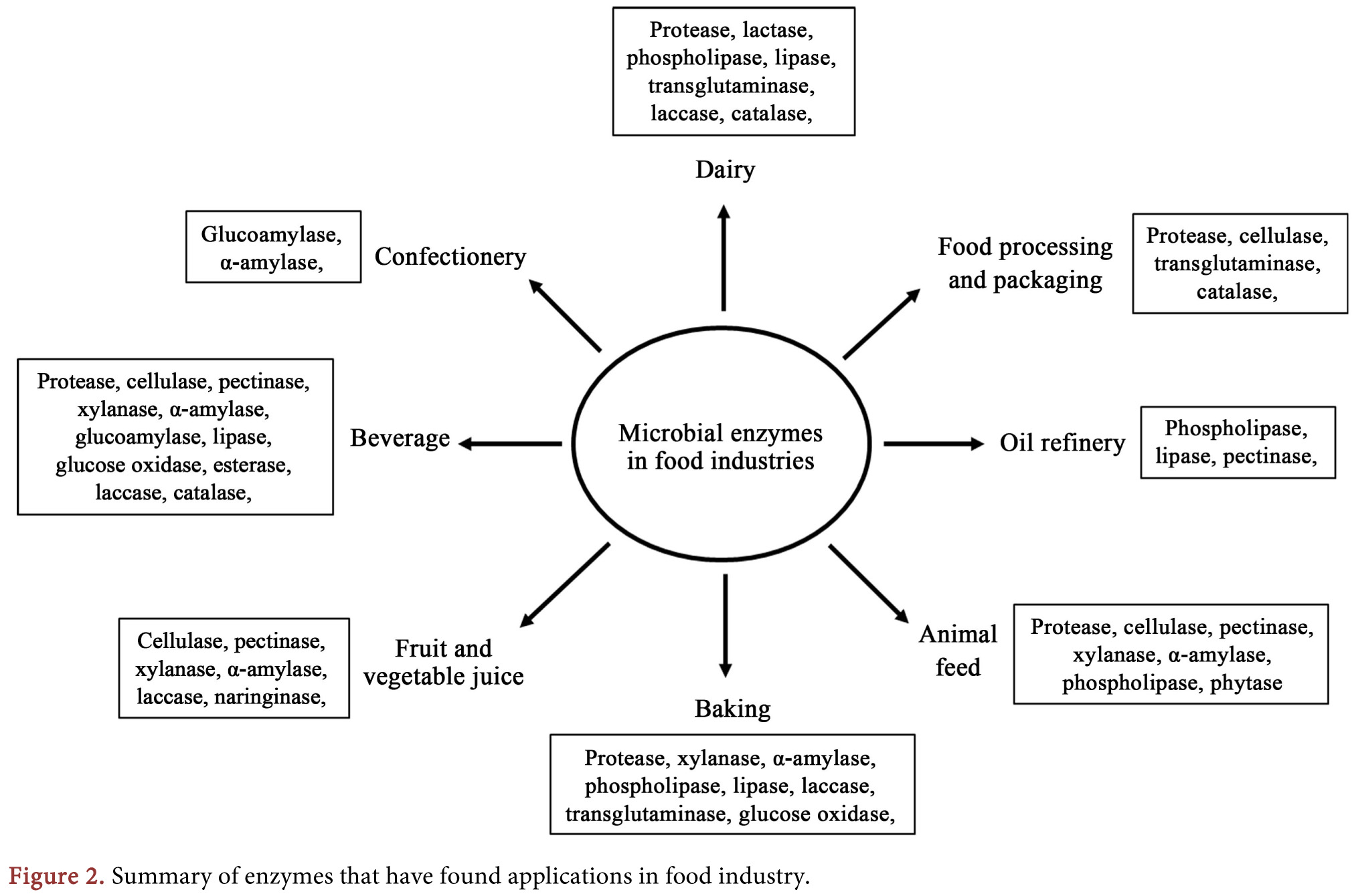 Enzymes In Industry