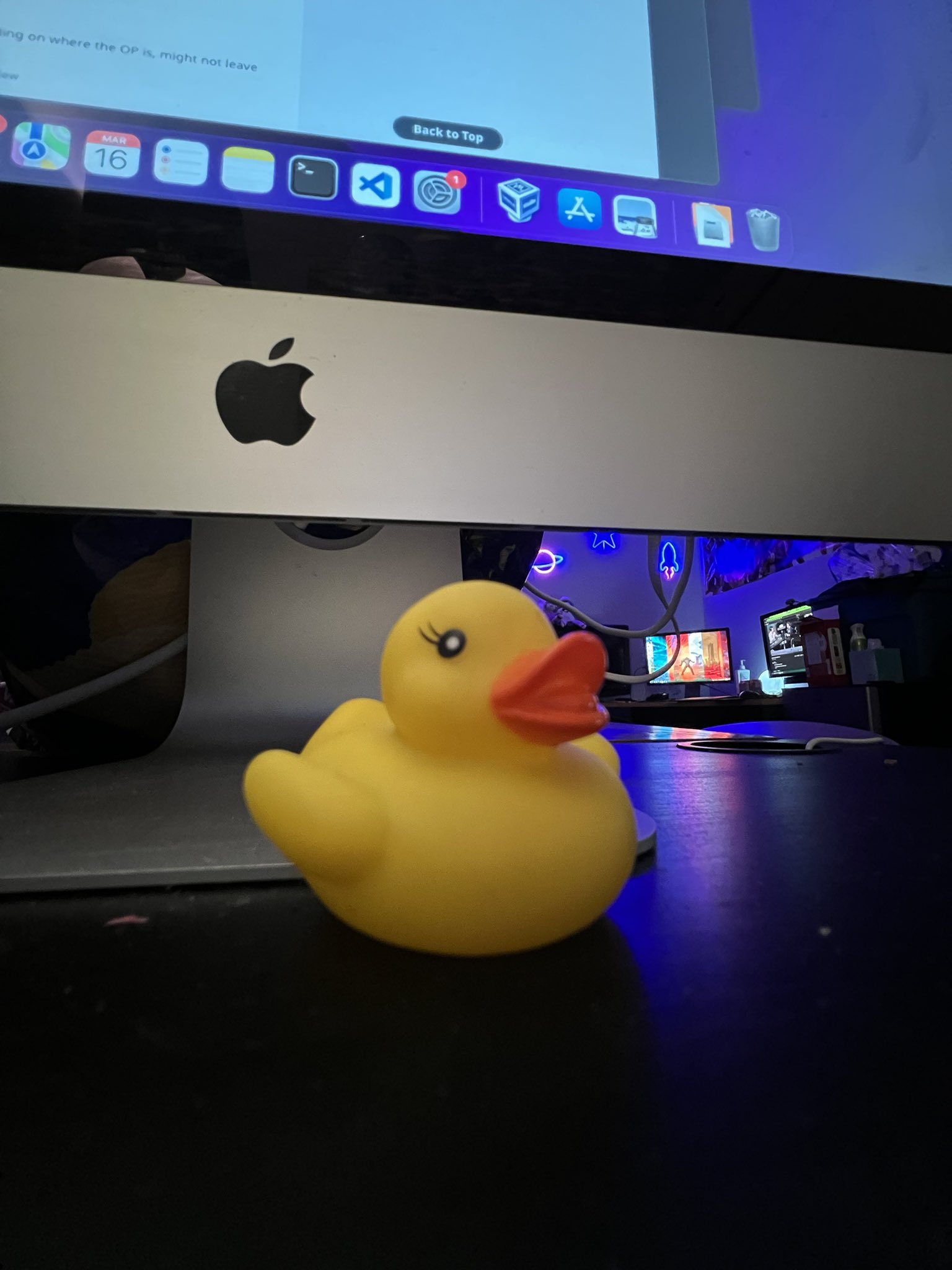 Sameera Shaik 💜🦈 (@Tech_junkee) / Twitter