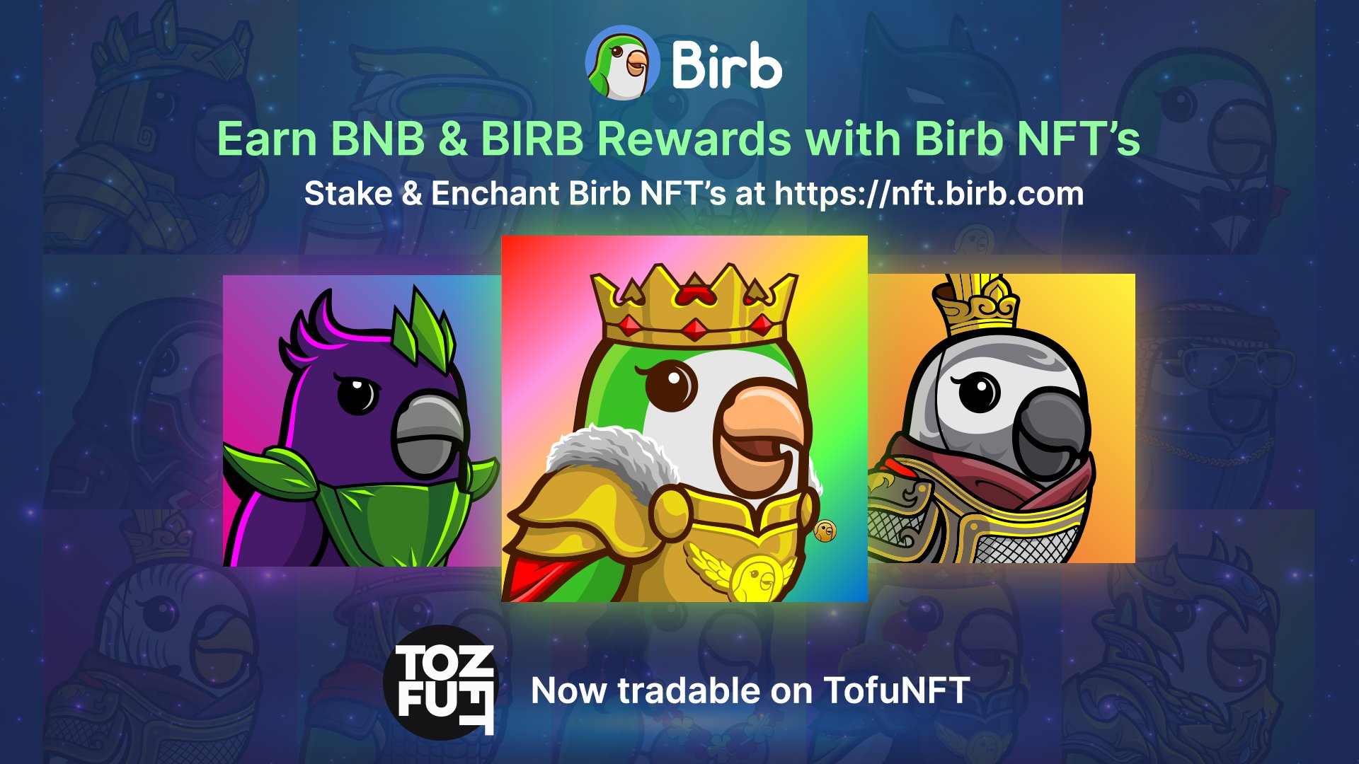 Birb 🦜 on Twitter: "Birb & @tofuNFT Partnership 📢 You can now trade your Birb NFT's on TofuNFT⚡️ ...