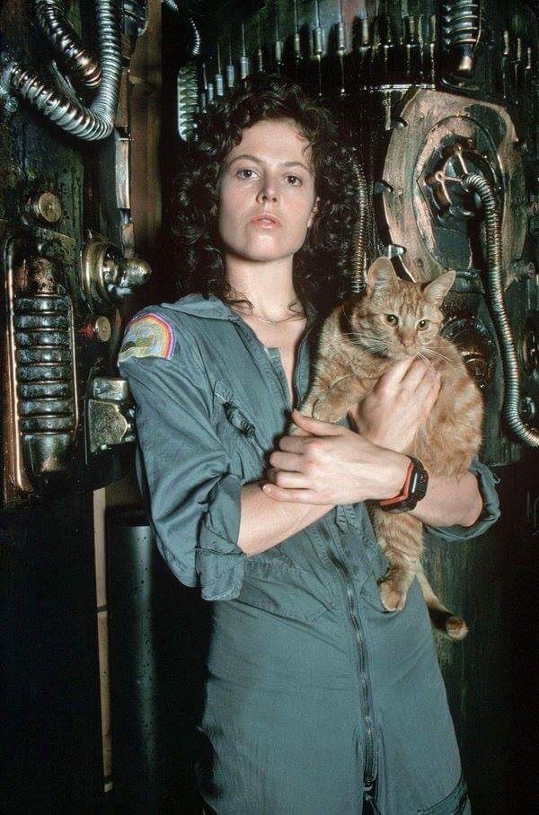 Aliens Movie Meme Ripley