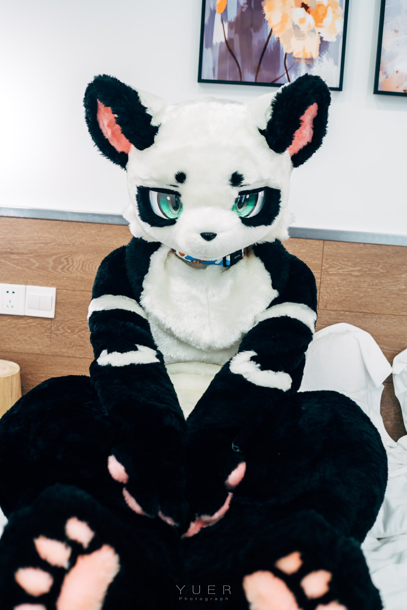 pork酱 on Twitter: "坏蛋！要我一个人在床上等你这么久！ #FursuitFriday 📷：@waitzz_ https://t.co/NO3UUrJ5L9" / Twitter