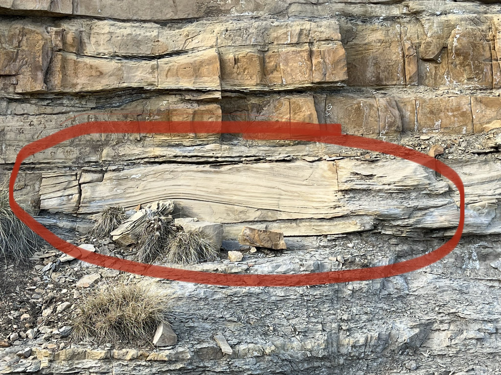 Hummocky Cross Stratification Herringbone Cross Stratification