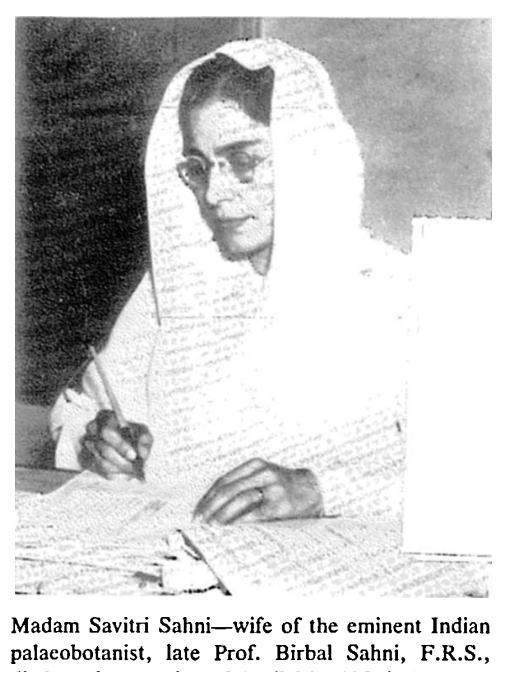Birbal Sahni