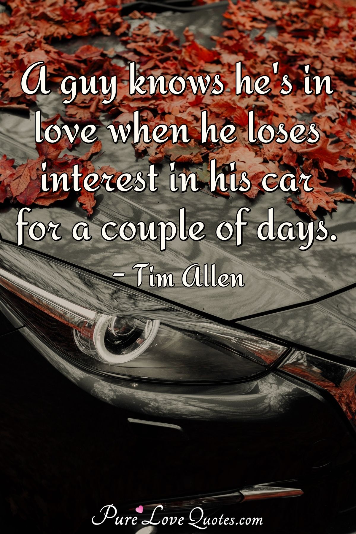 Car Love Quotes