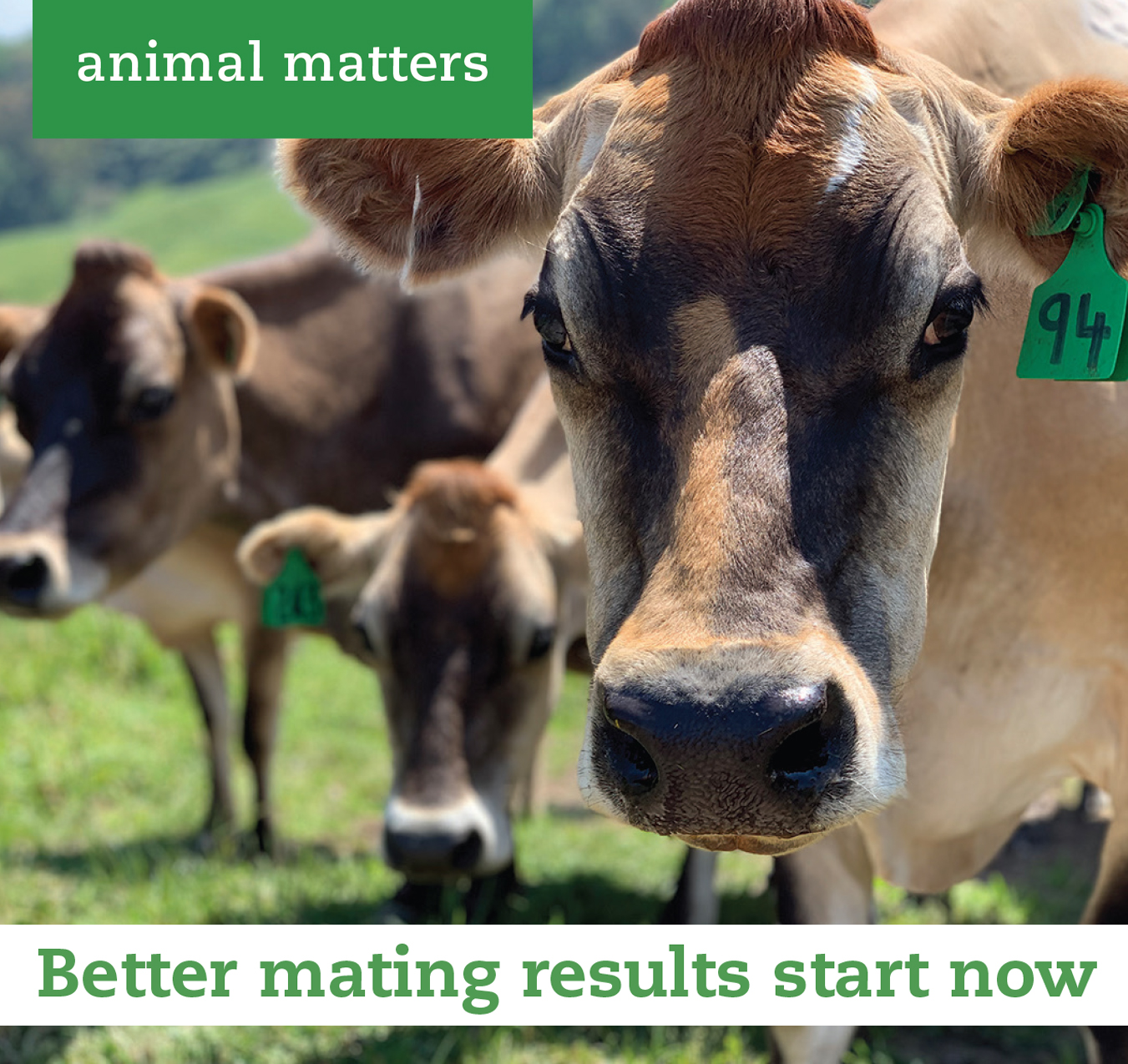 DairyNZ on Twitter: DairyNZ on Twitter:
