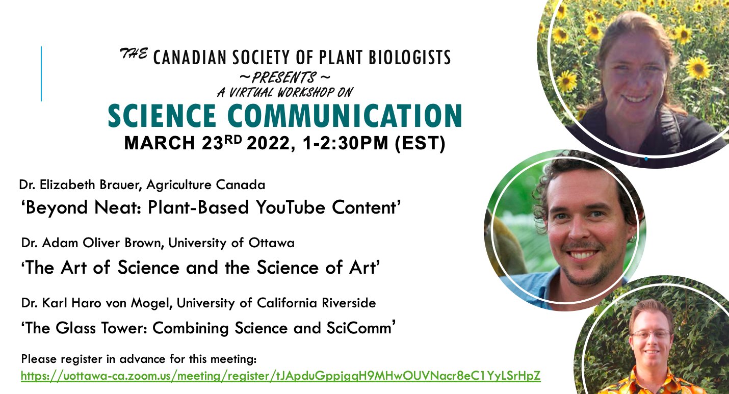 Liz Brauer (@liz_brauer) / Twitter