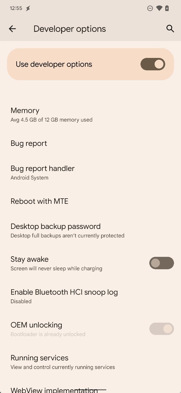 Mishaal Rahman on Twitter: "Android 13 includes a hidden developer option for toggling Memory ...