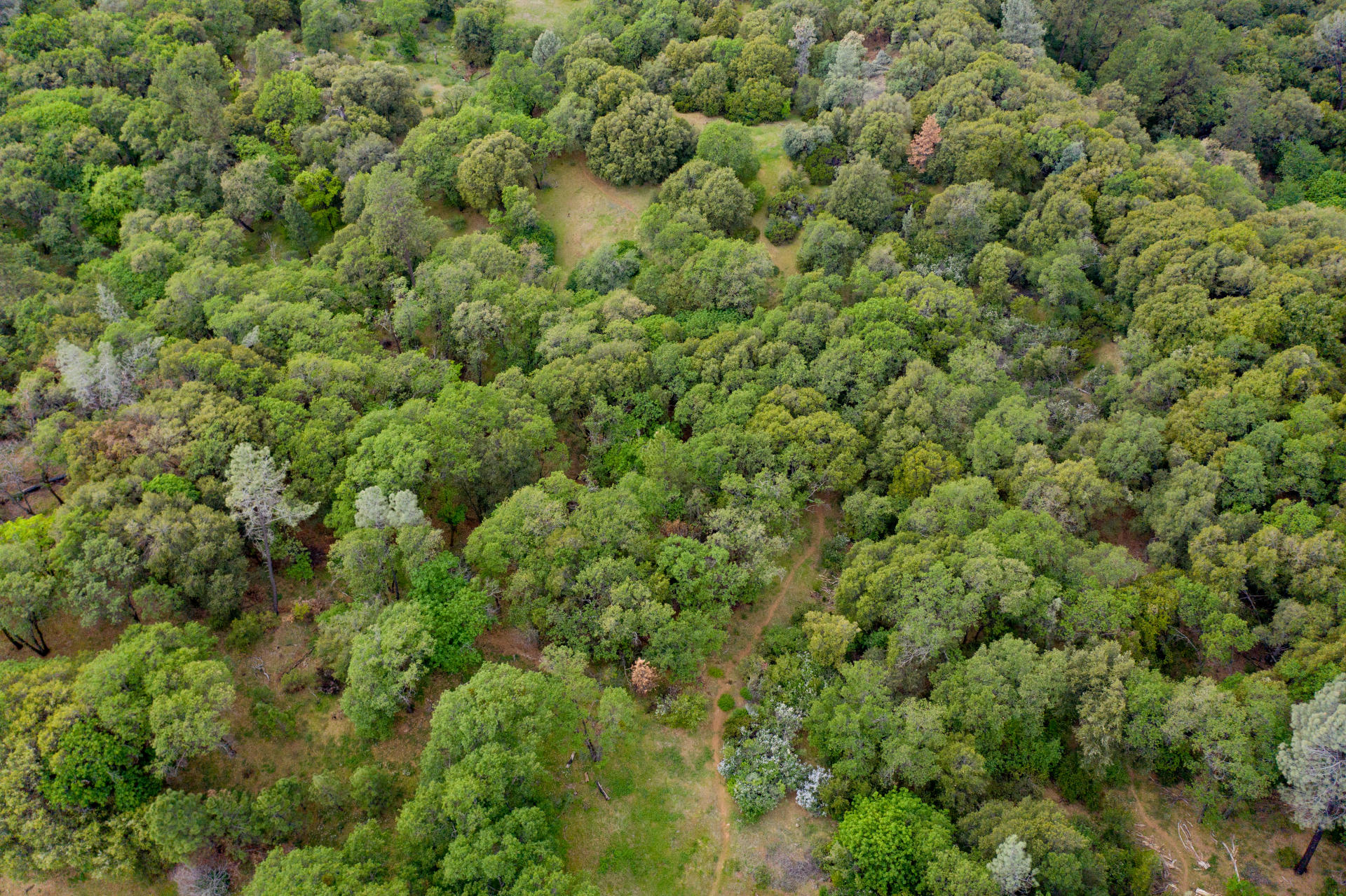 Chico State On Twitter At A Sprawling 7 835 Acres BCCER Is The chico-state-on-twitter-at-a-sprawling-7-835-acres-bccer-is-the