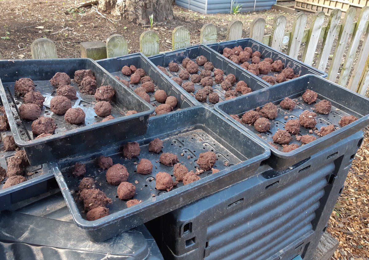 Blackheath Prep - An independent prep school and nursery for children ...