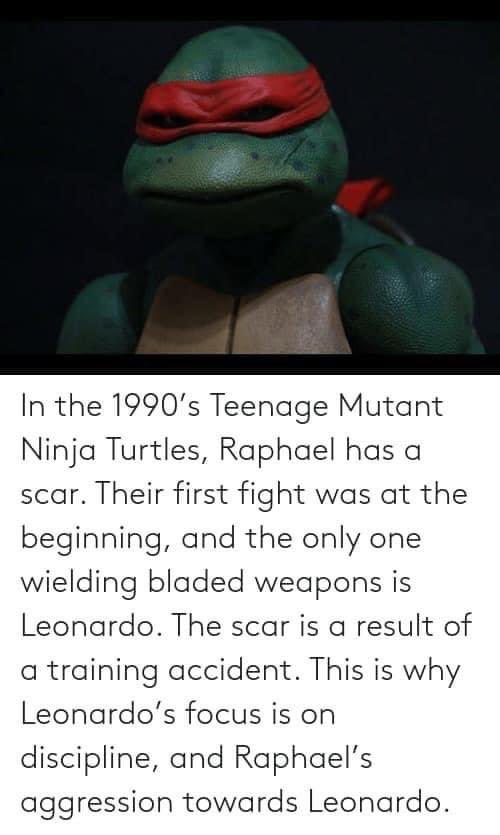 Ninja Turtle Raphael Meme
