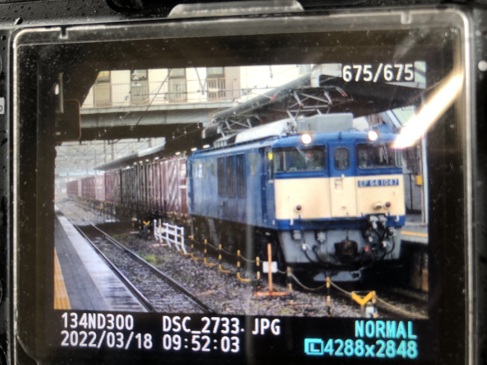 satoru_8888 on Twitter: "総社駅でキハを待っていたら撮れました。 これも嬉しい誤算です。何も調べてないので（笑）。 https://t.co/b1qIfQxrhj ...