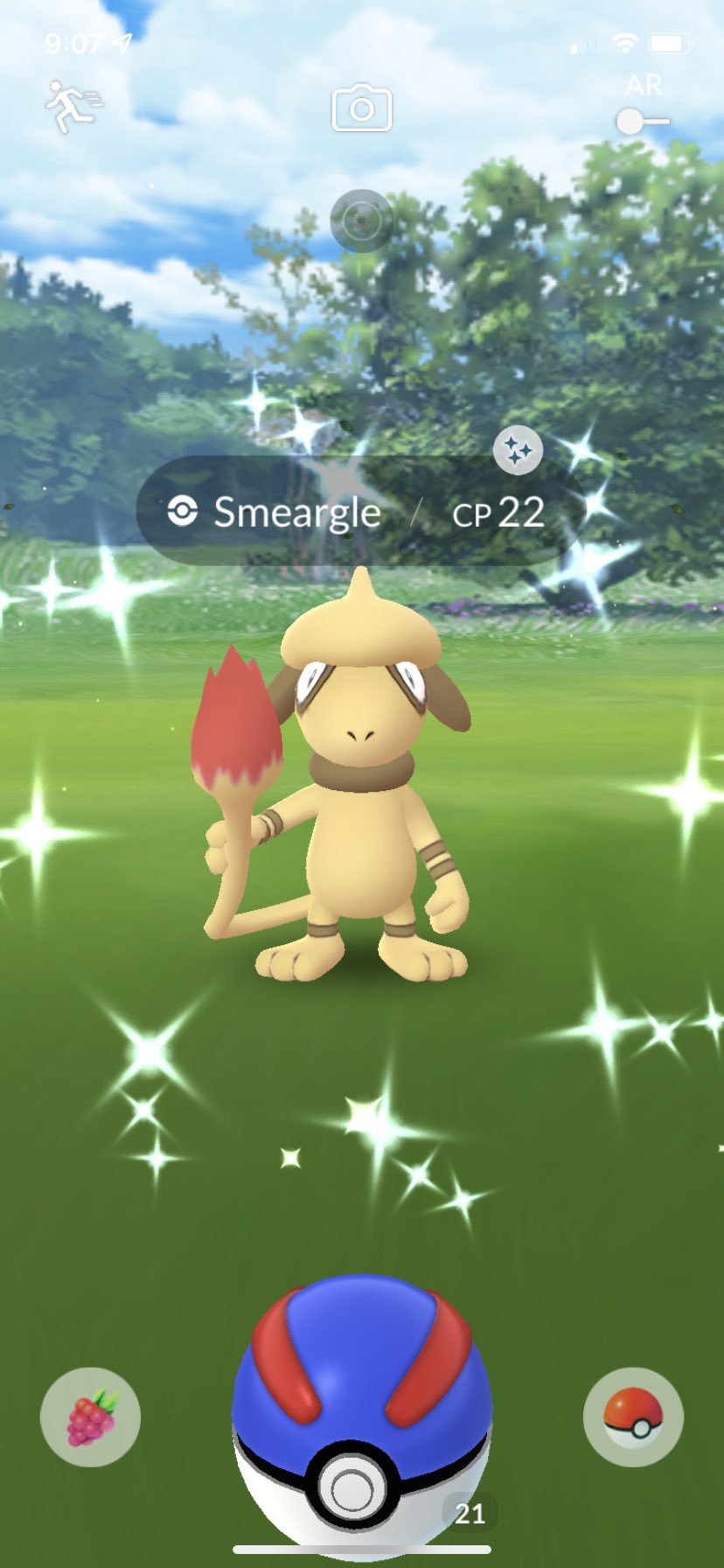 Pokemon Shiny Smeargle