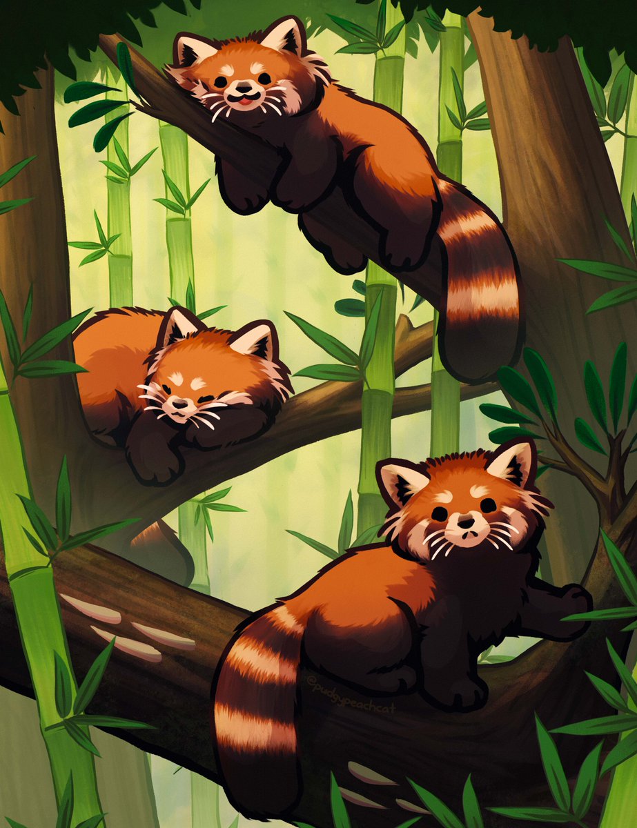 「Red Panda Pack 🎋 」|Ellie 🍑🐱のイラスト