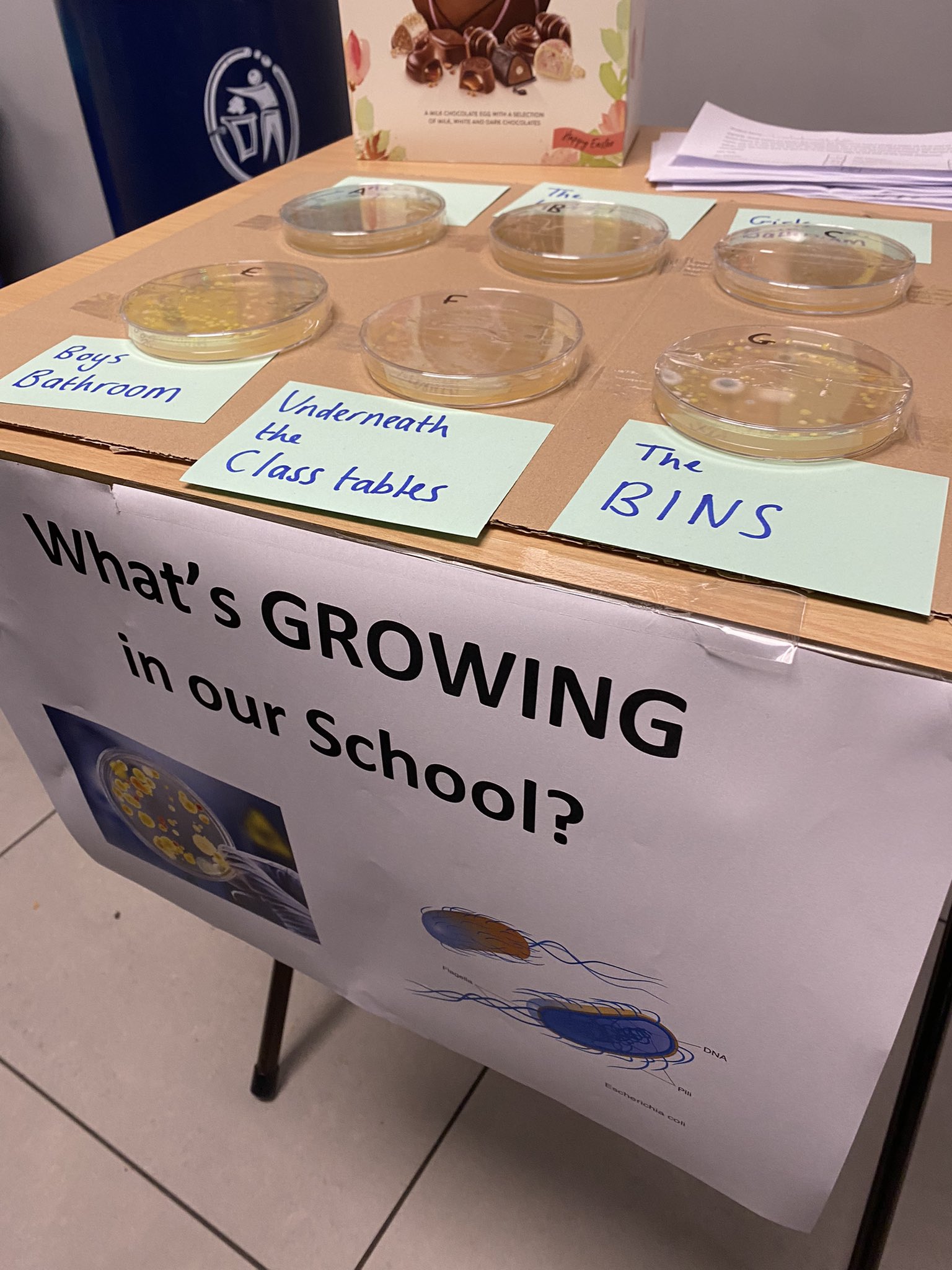 MA_ScienceDept on Twitter: "Break time teaser - growth in ...