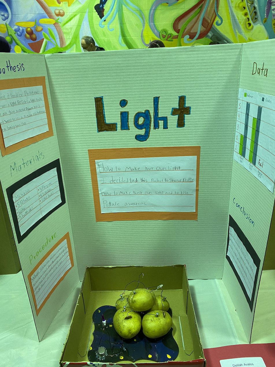 Potato Powered Light Bulb Science Project Potato Battery – Science