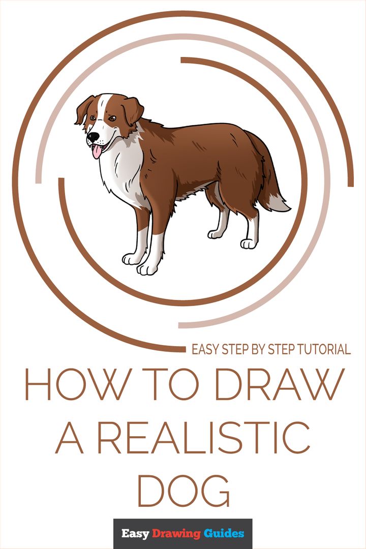 How To Draw A Realistic Dog