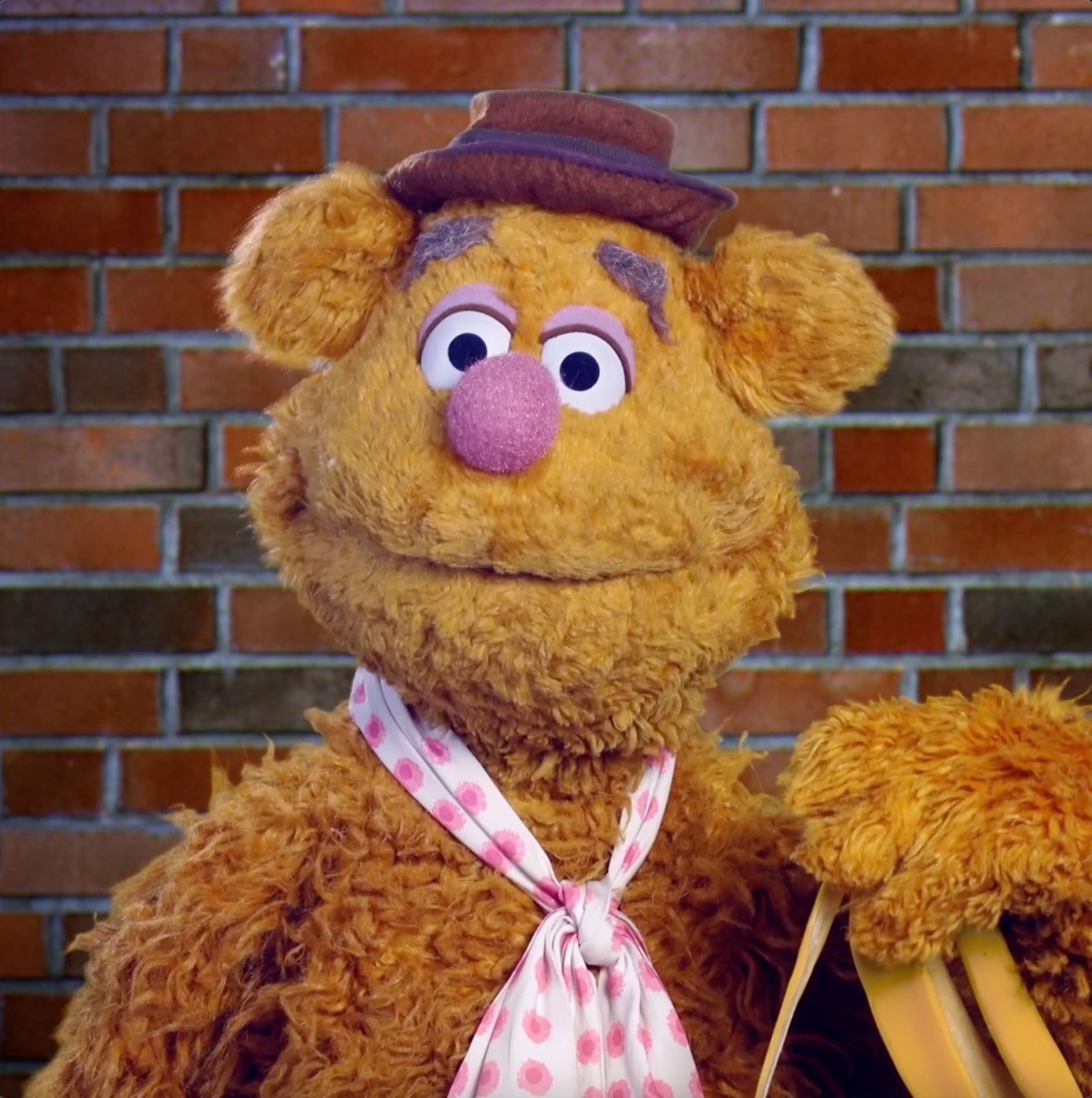 Fozzie Bear Meme