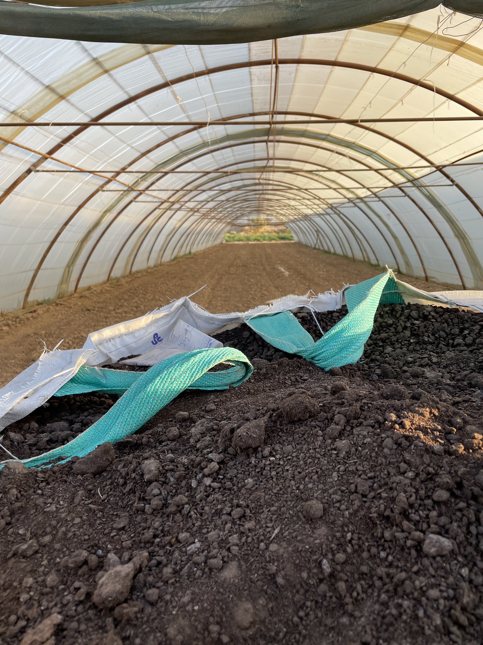 مزارع جنى للخضار والفواكه (@Jana_farms) / Twitter