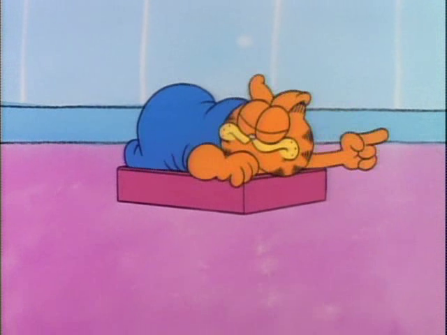 Garfield Sleeping In Box