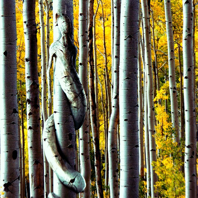 🕸Malcrow7🕸 (@malcrow7) さんのイラスト・マンガ作品まとめ (113 件) - Twoucan